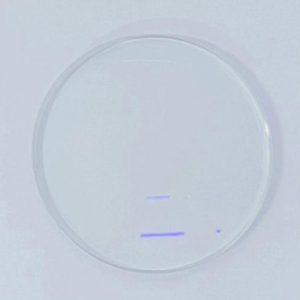 Common Blue Cut Lenses vs. Super Clear Blue Cut Lenses: Which One ...